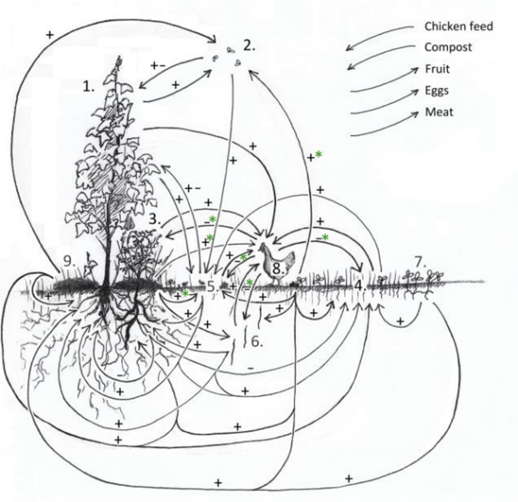 Agro-ecologie – Eva Vos